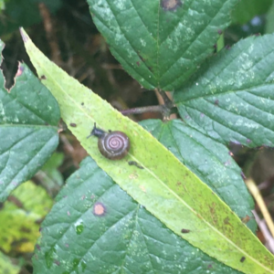 Contact – Nurturing Wild